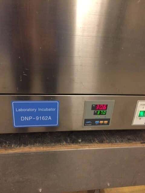 Zenith DNP-9162A Broedstoof - LabMakelaar Benelux